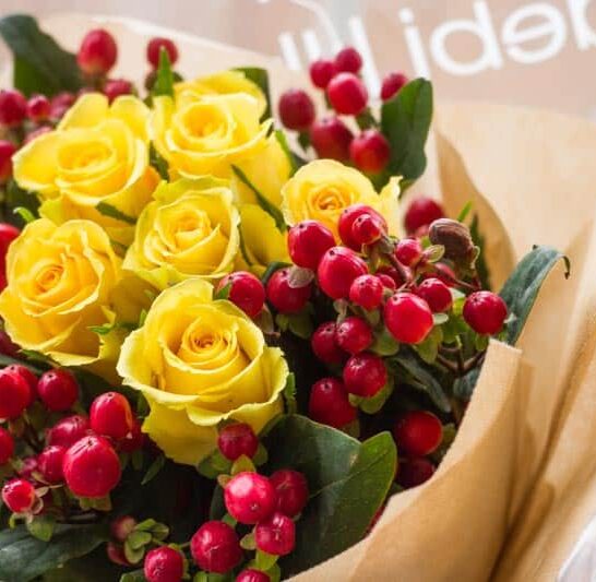 How-To's | The Wicked Noodle