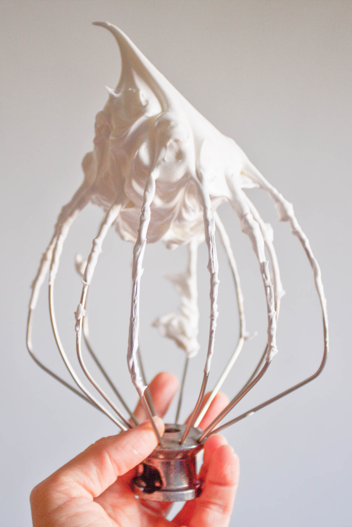 Meringue Christmas Trees • The Wicked Noodle