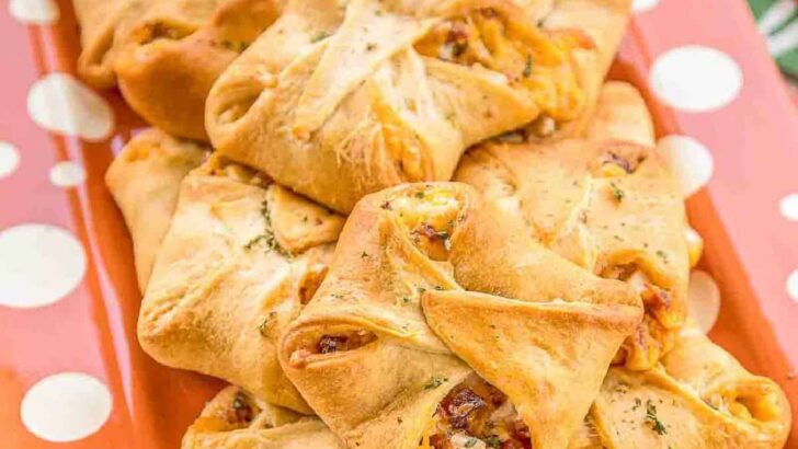 26 Crescent Roll Appetizers • The Wicked Noodle