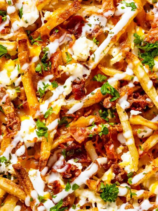 Homemade Street Fries