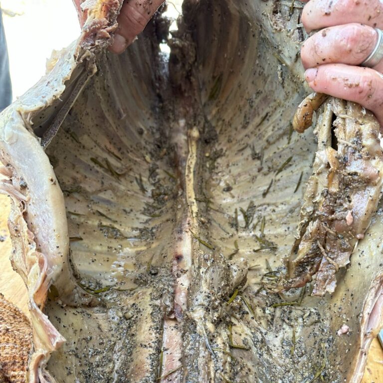 How To Roast A Whole Lamb On A Spit • The Wicked Noodle